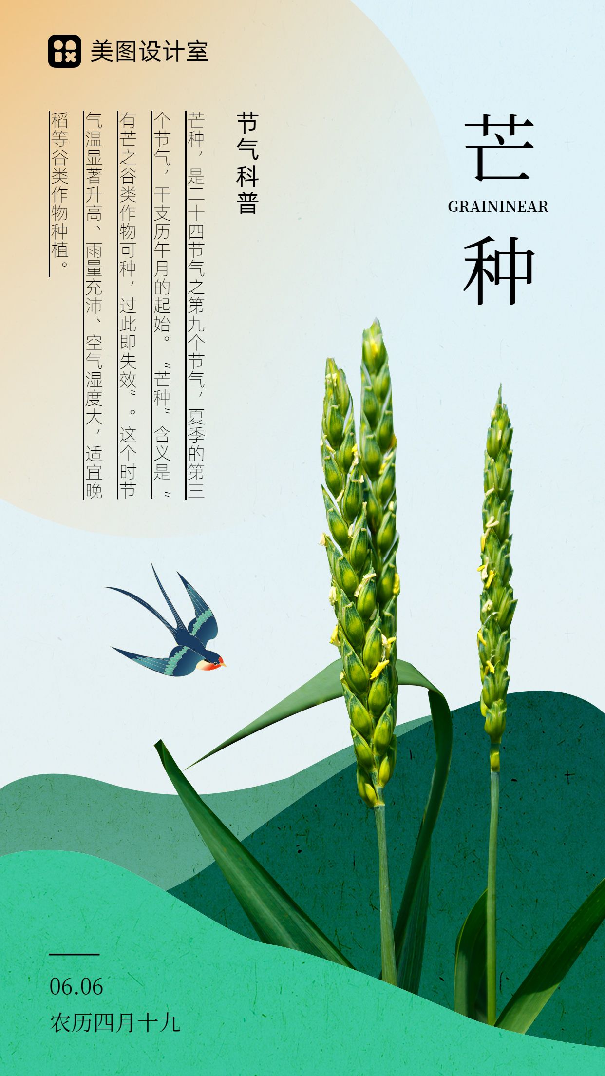 手绘插画芒种节气科普海报美图设计室海报模板素材大全
