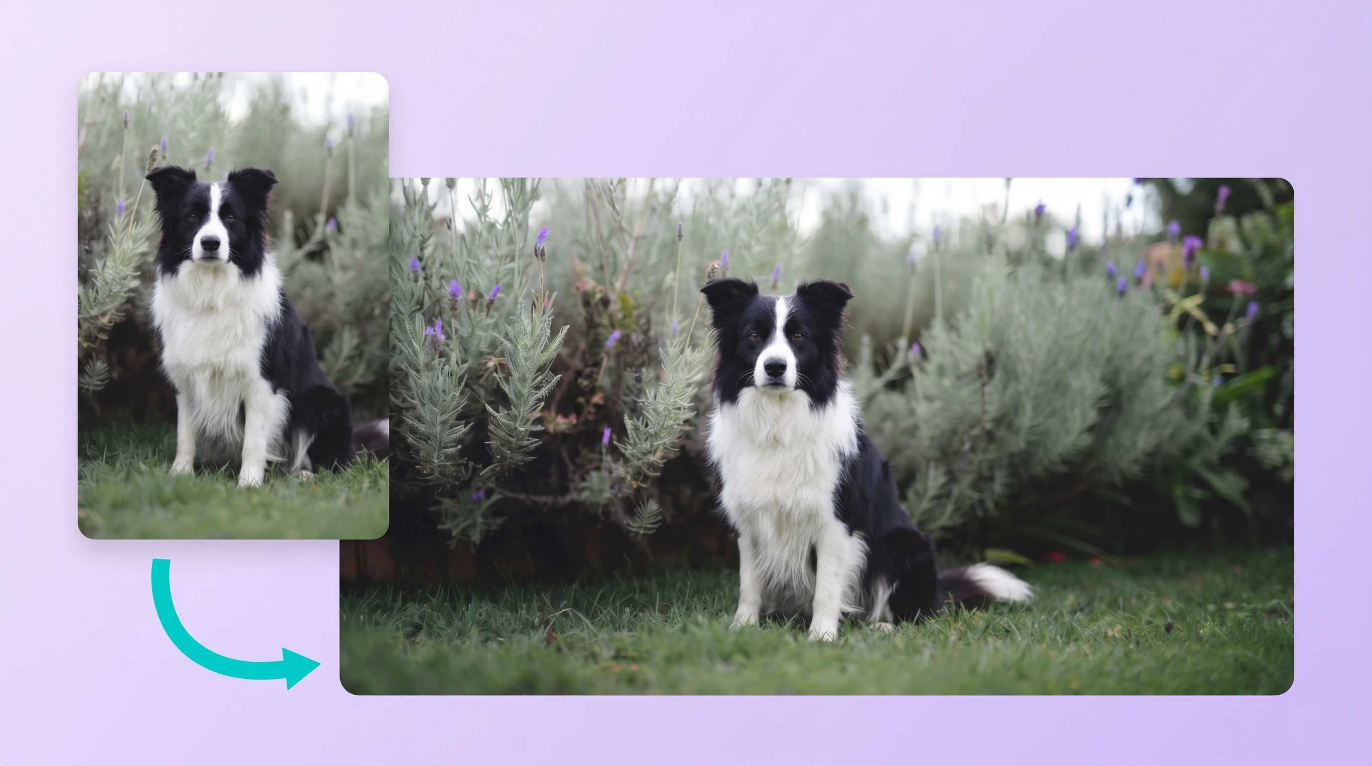 Instagram Image Size Guide 2026: Post, Reel, Story & Carousel Specs ...